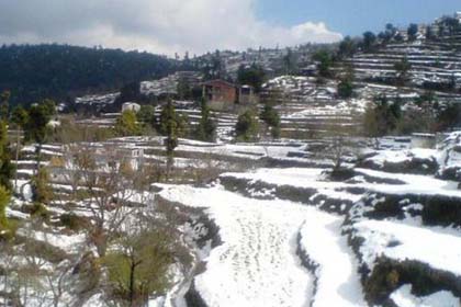 Mukteshwar Uttarakhand, explore complete travel guide of mukteshwar ...